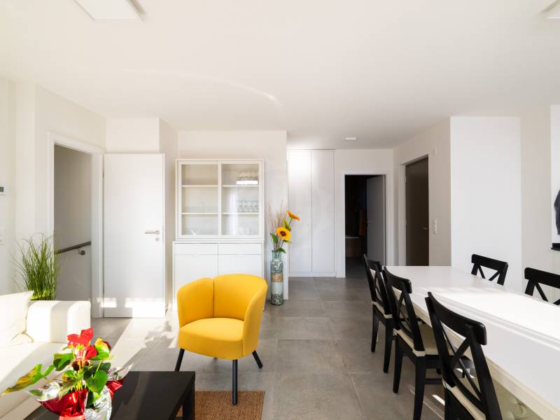 Magnificent apartment - Collex - SPG