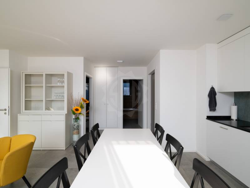 Magnificent apartment - Collex - SPG